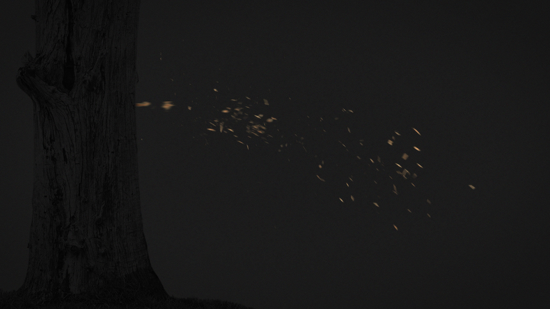 Wood Bullet Hits Vol. 1 Stock Footage Collection | ActionVFX