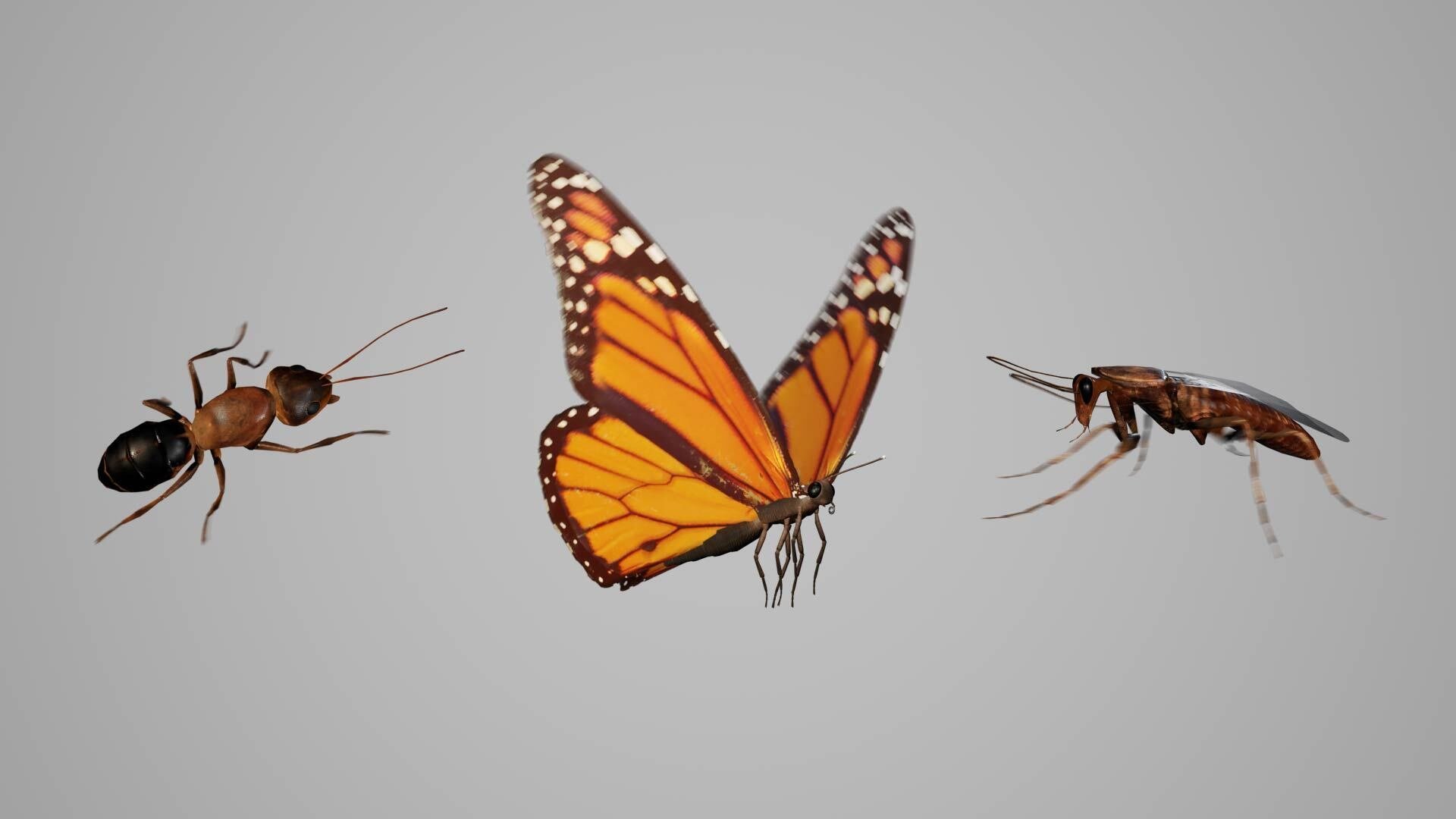 Bugs Stock Footage Collection | ActionVFX