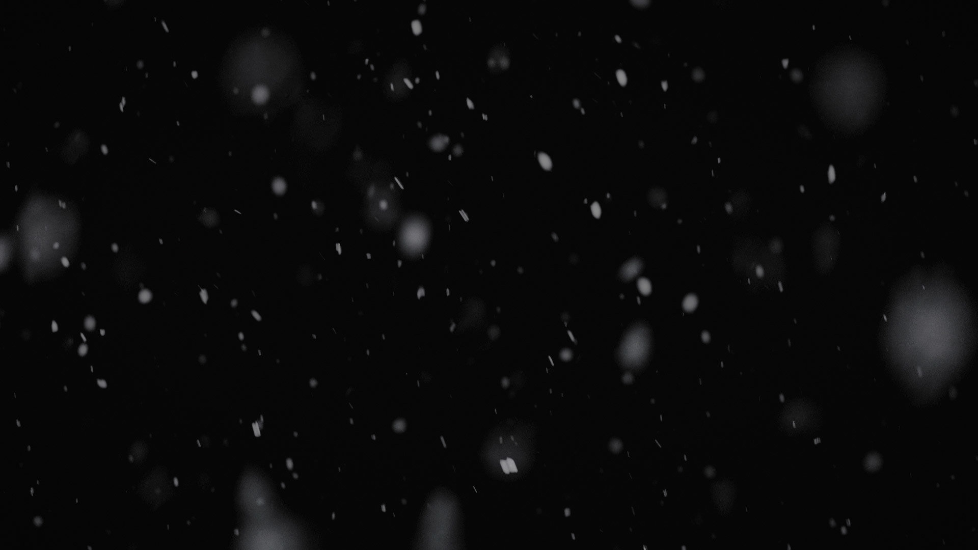 FREE - Snow FX Stock Footage Collection | ActionVFX