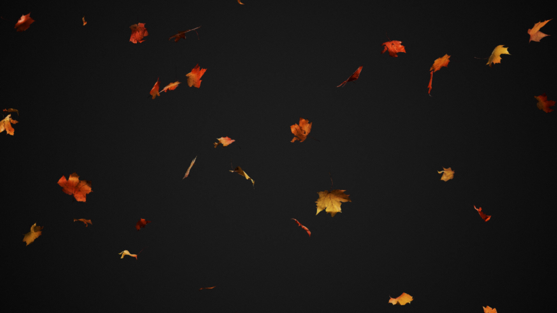 Falling Leaves Stock Footage Collection | ActionVFX