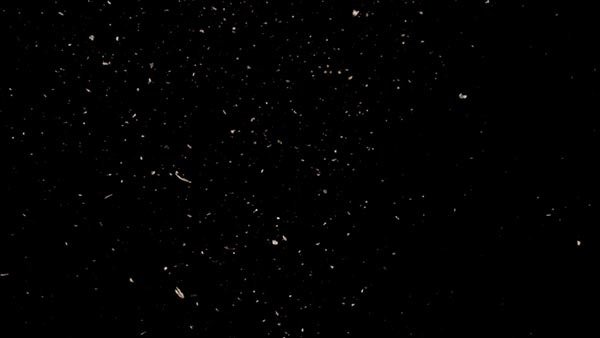 Ashes Falling From The Sky